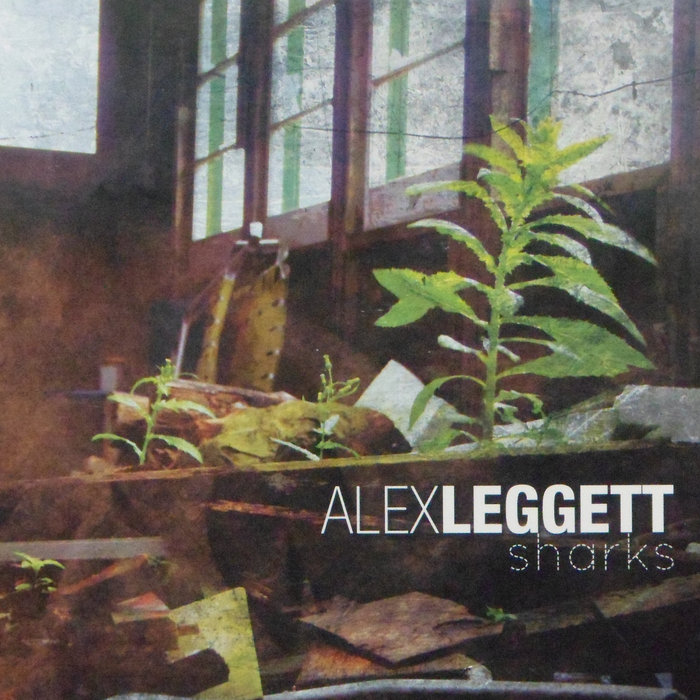Sharks | Alex Leggett
