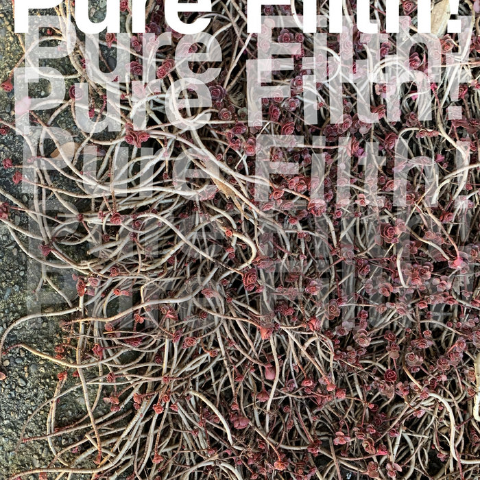 Blue Bottle | Pure Filth | Brighton Street Ghosts