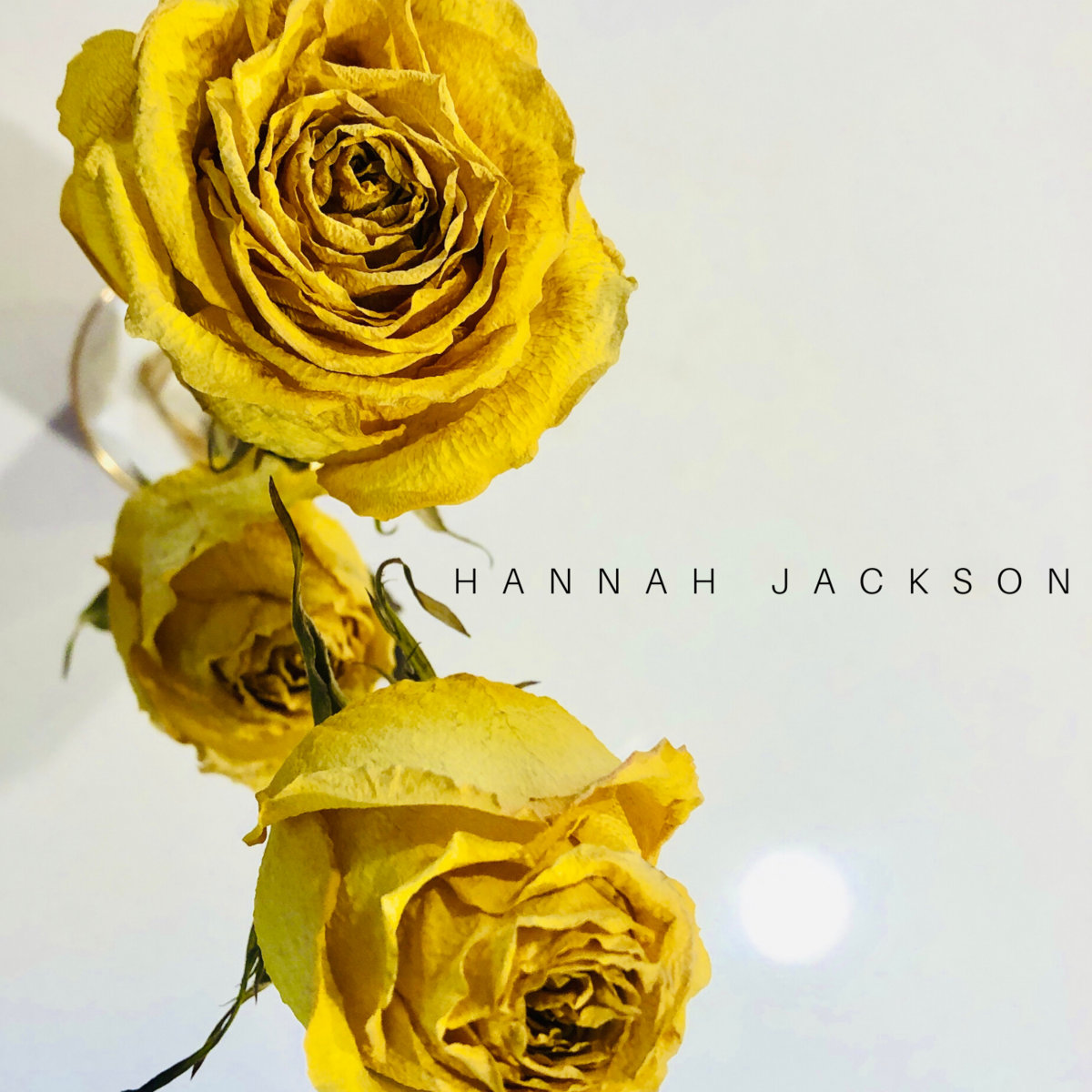 Hannah Jackson | Hannah Jackson