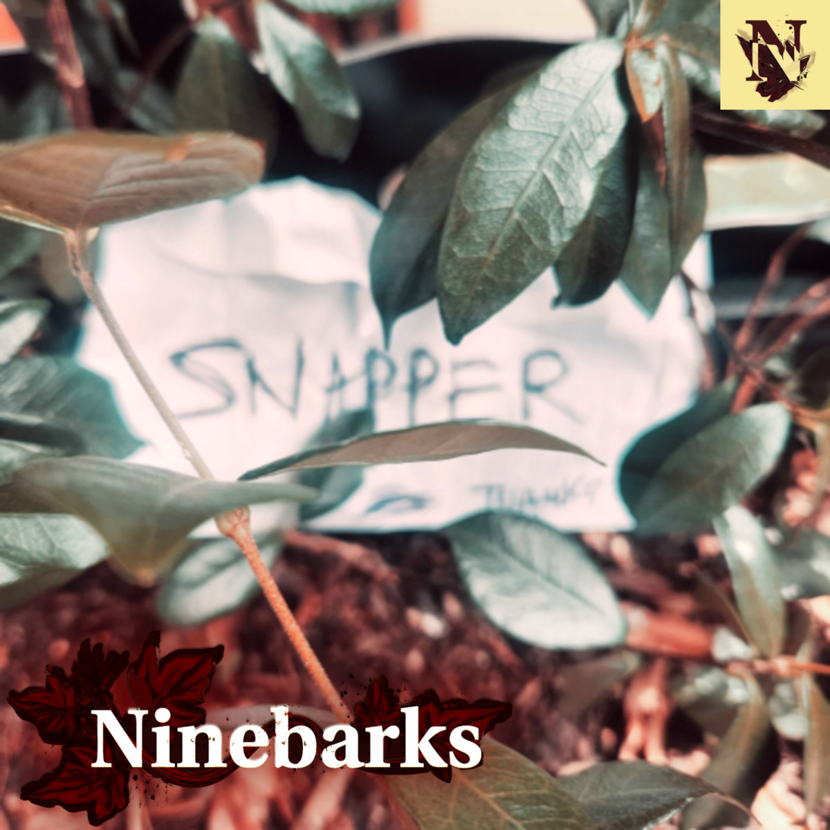 Snapper | Ninebarks
