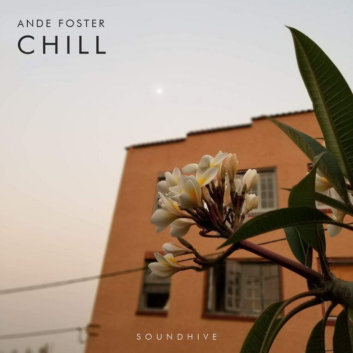 Chill | Ande Foster