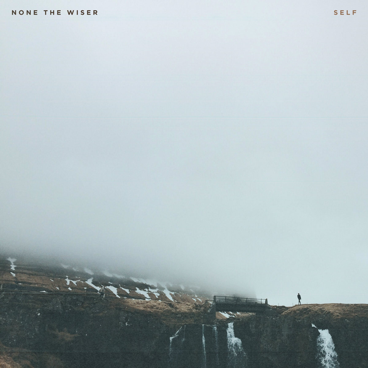 Introduction | None The Wiser