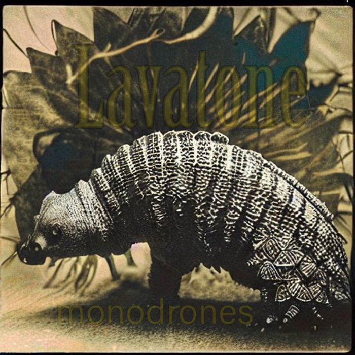 monodrones | Lavatone