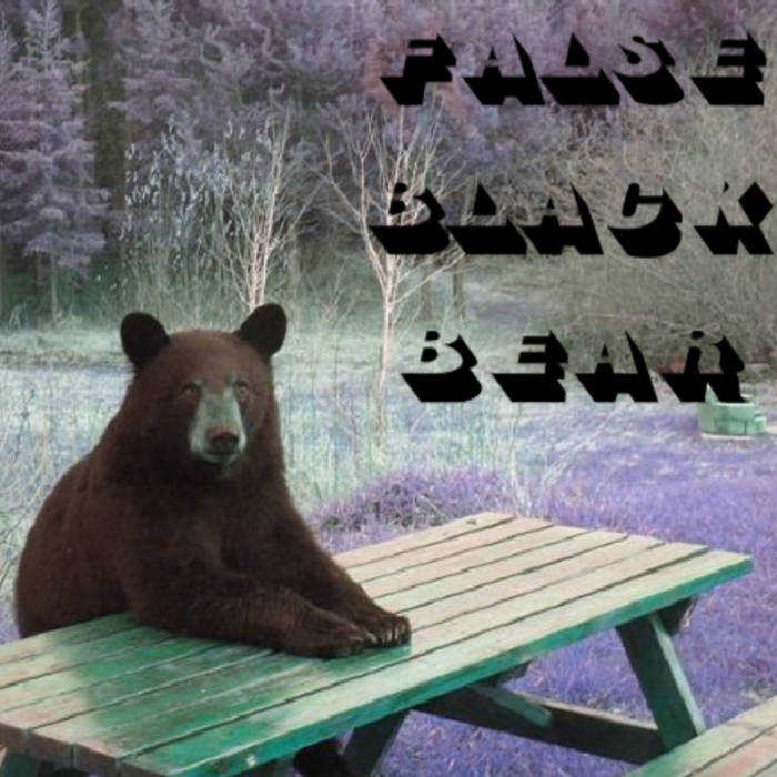 Black Bear Sitting At Picnic Table