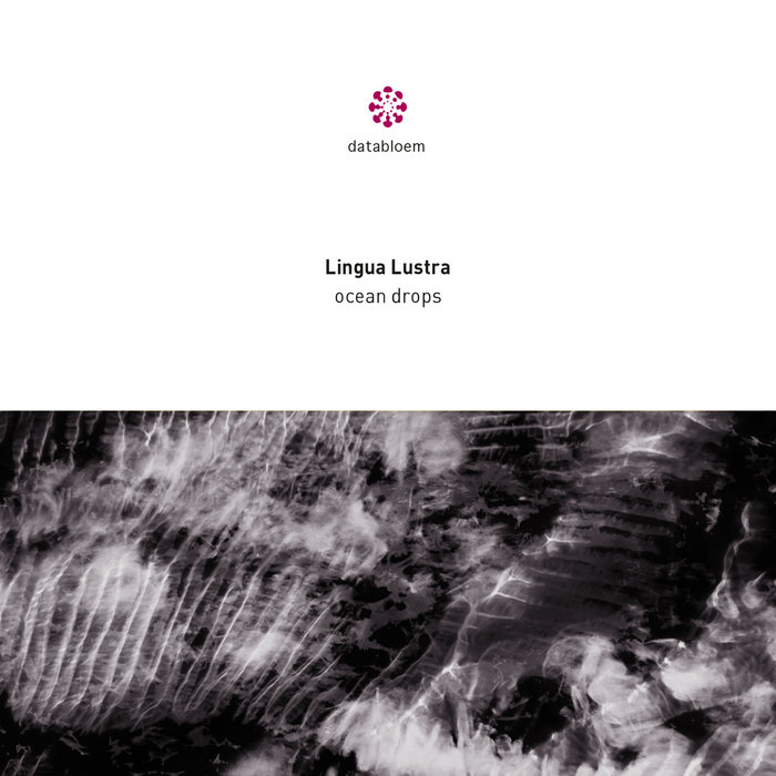 ocean drops | Lingua Lustra | Databloem