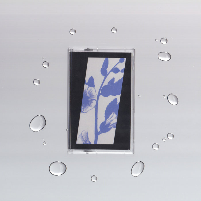 puddle | Amelia Devoid