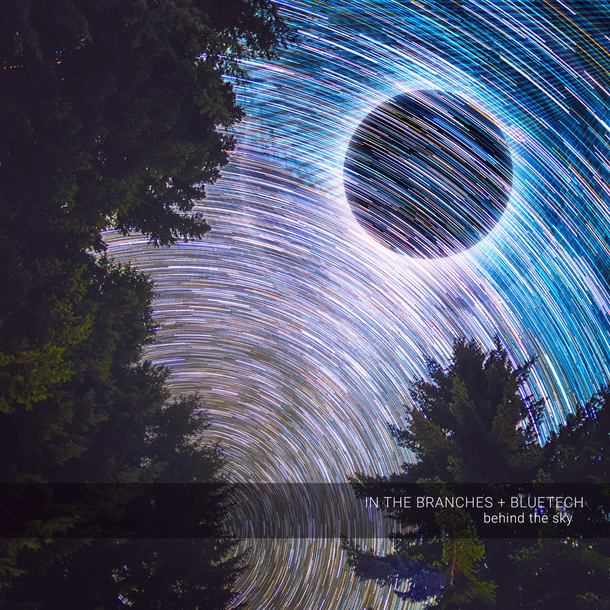 Behind The Sky | In The Branches + Bluetech | Bluetech