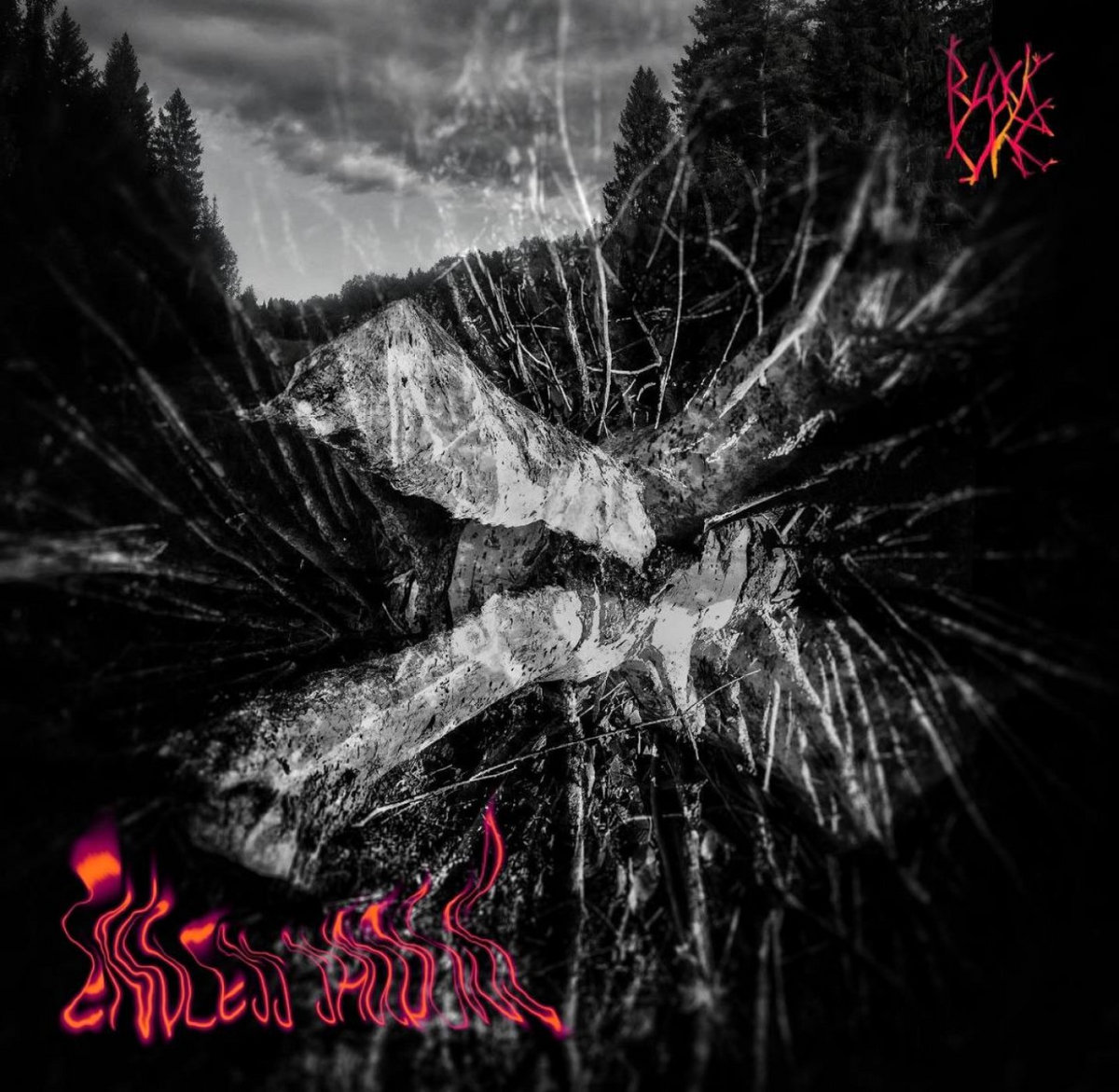 Endless Shadows | Black Orc