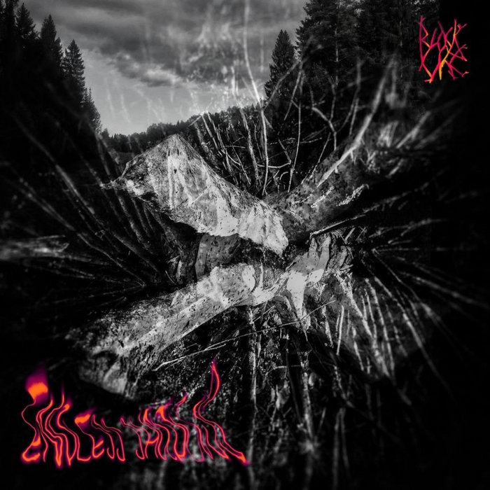 Endless Shadows | Black Orc