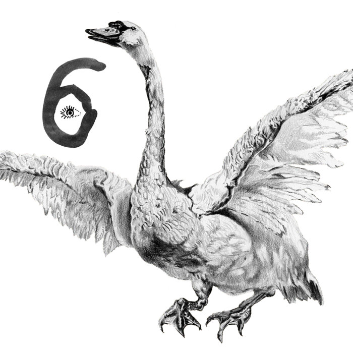 Six Swans | Various Artists | Riveyoncé Cuoknowles