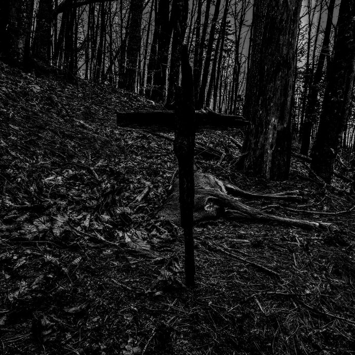 Victims Of The Lazaret | Victims of the lazaret
