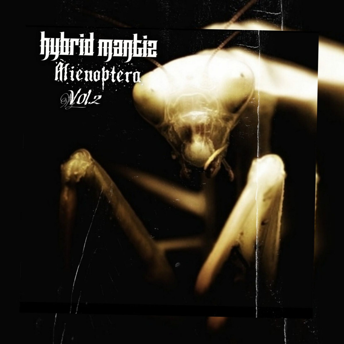 alienoptera vol.2 [the EP album] | HYBRID MANTIZ | hybrid mantiz