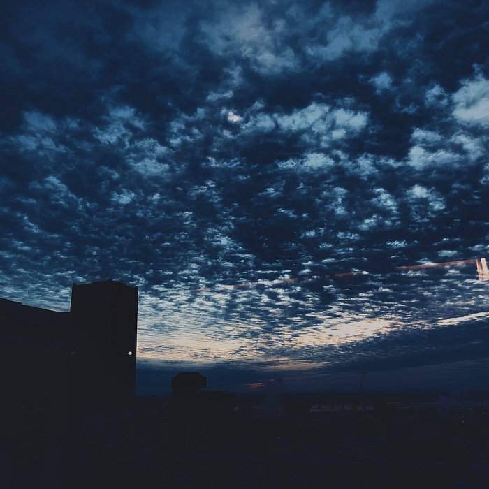 Arc | Nixtrove