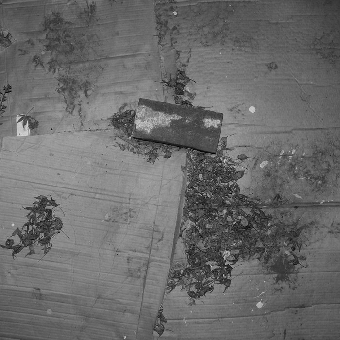 DROPPED THERE, OUT OF THE SKY | Jacob Hendricks