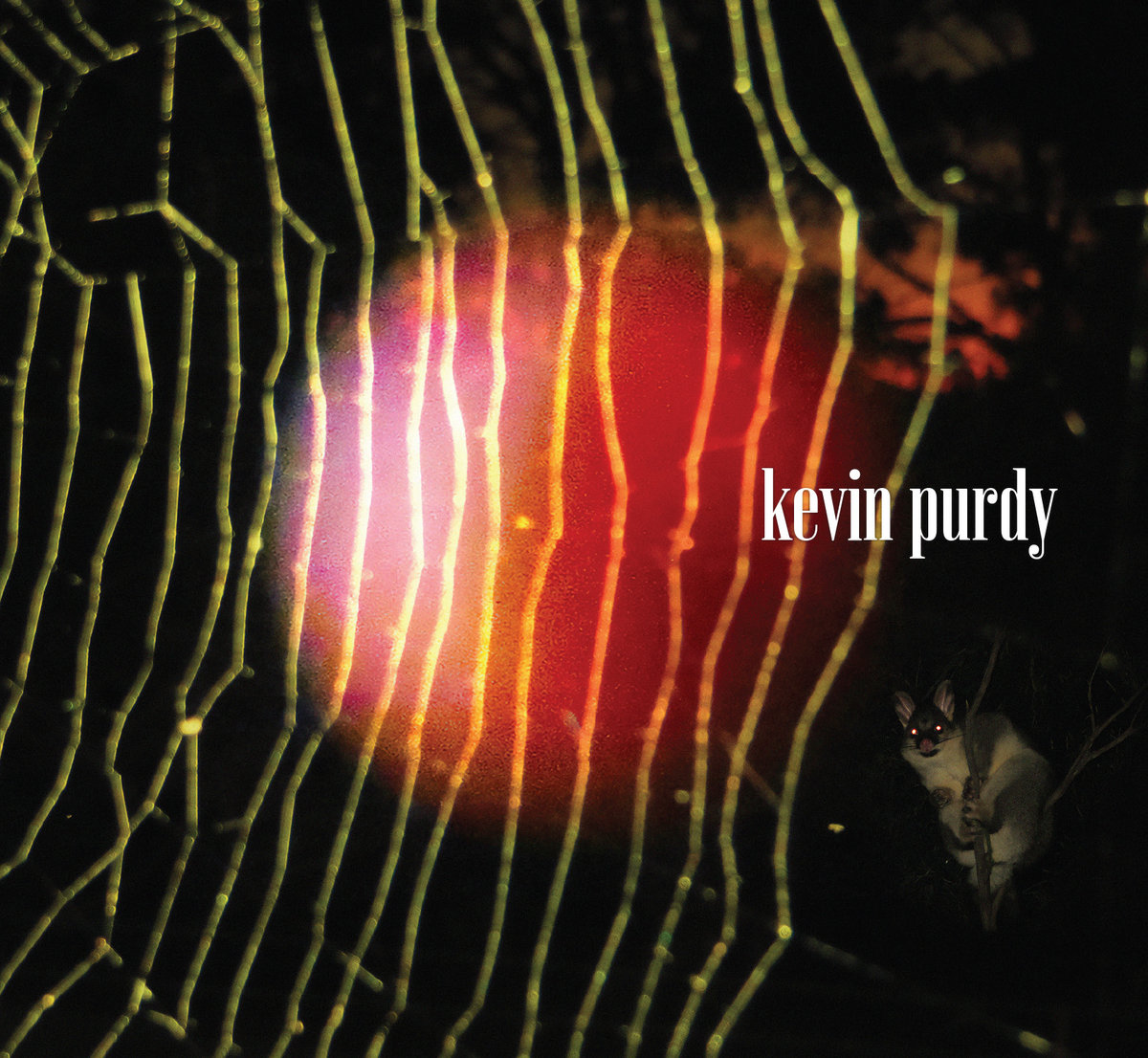 Kevin Purdy | Kevin Purdy | Purdy