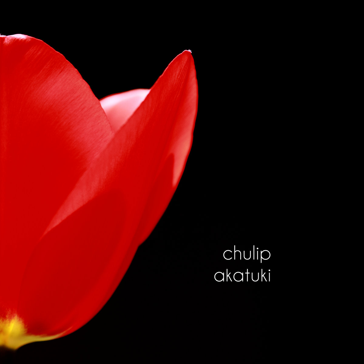 chulip | akatuki | Akatuki