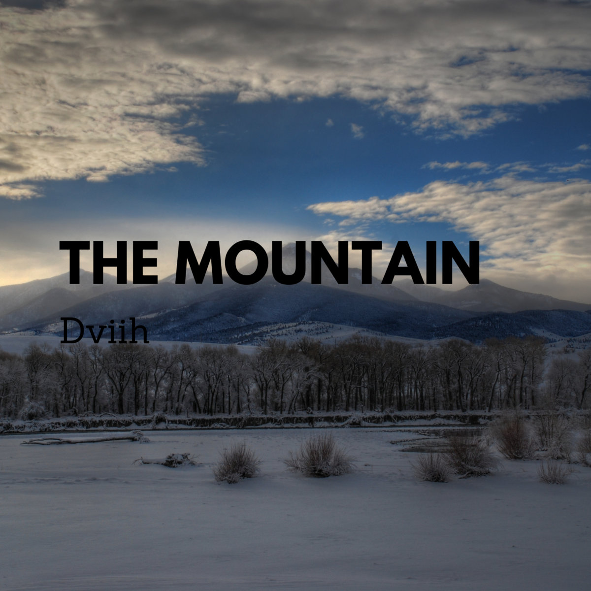 The Mountain | Dviih