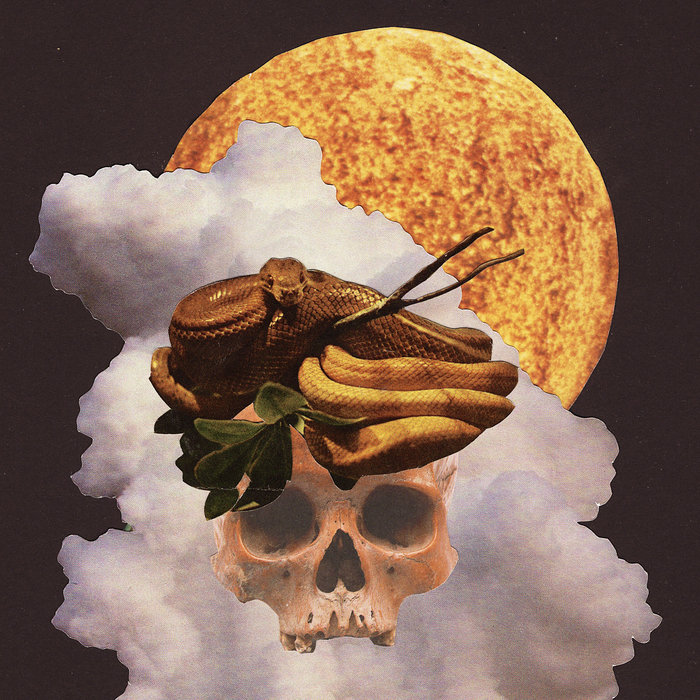 Medusa | ghost/\/ghoul