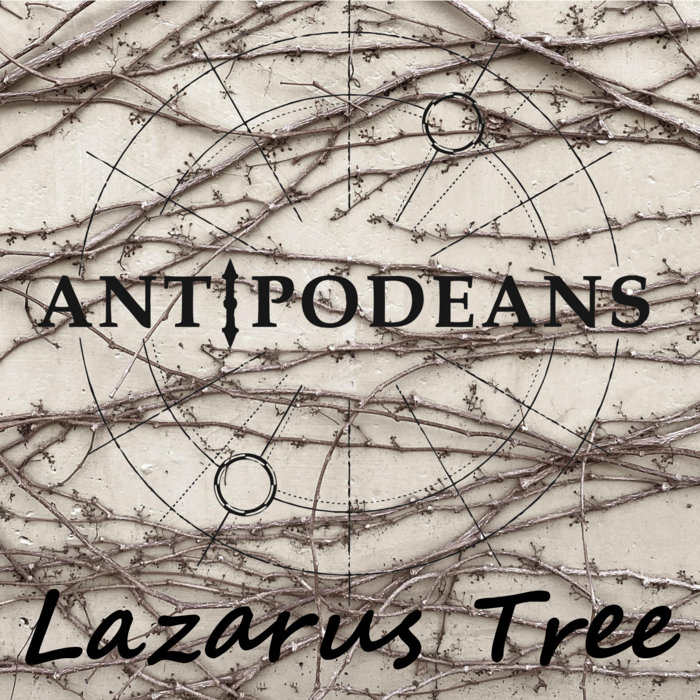 Lazarus Tree | Antipodeans
