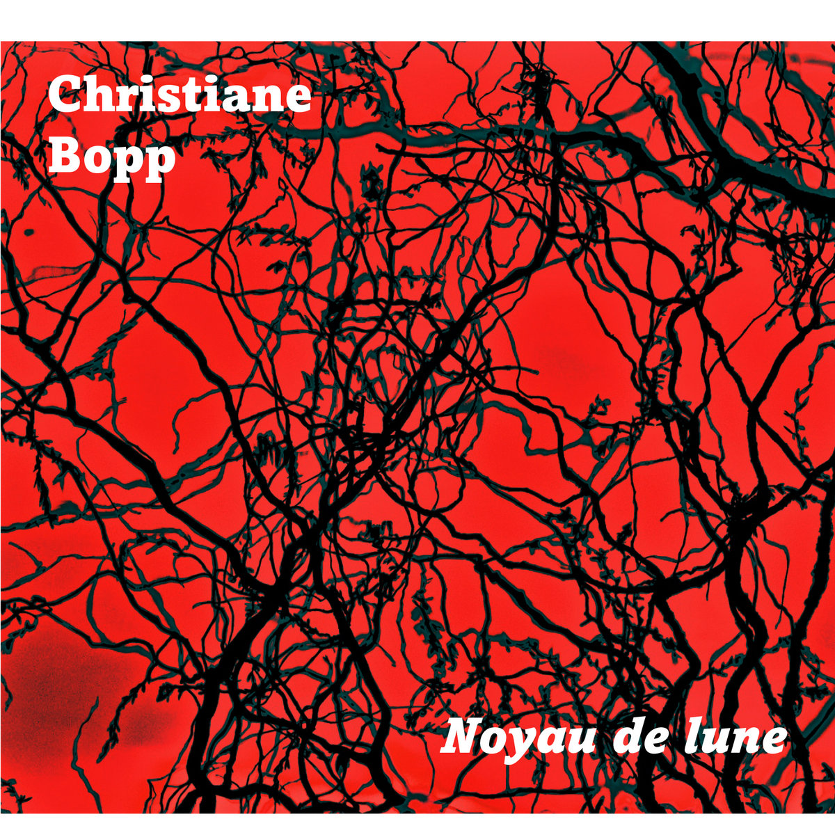 Noyau de lune | Christianne Bopp | Jean-Marc Foussat