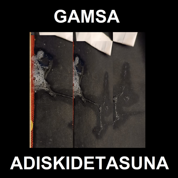 ADISKIDETASUNA | GAMSA