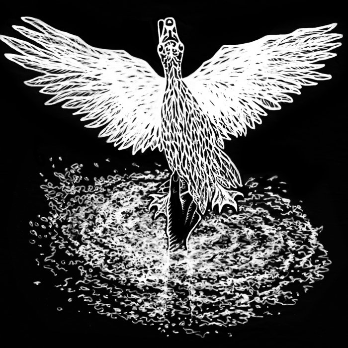 Witchduck | THUNDERCHIEF