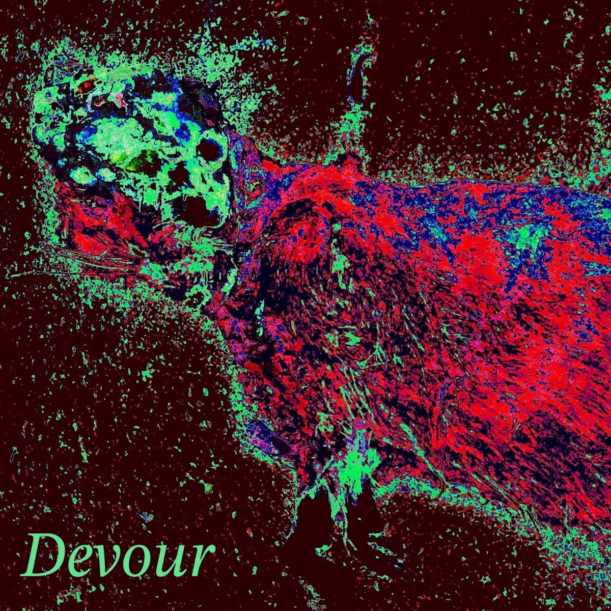 Devour | Daniel Tanghal