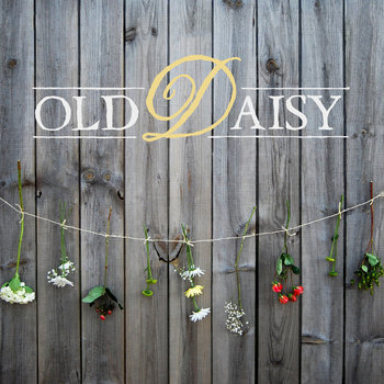 Music | Old Daisy
