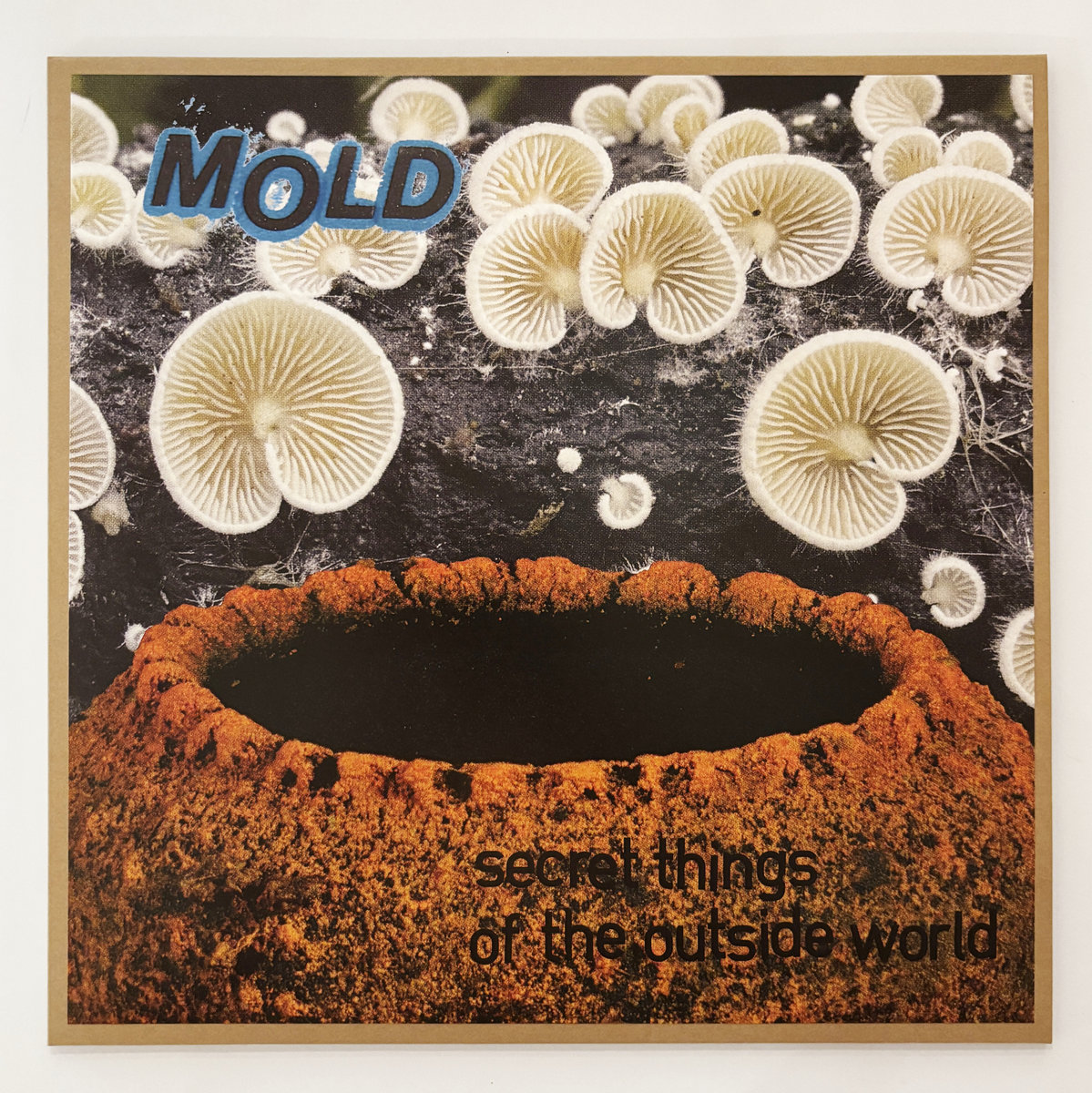 Secret Things Of The Outside World | Mold | SATATUHATTA