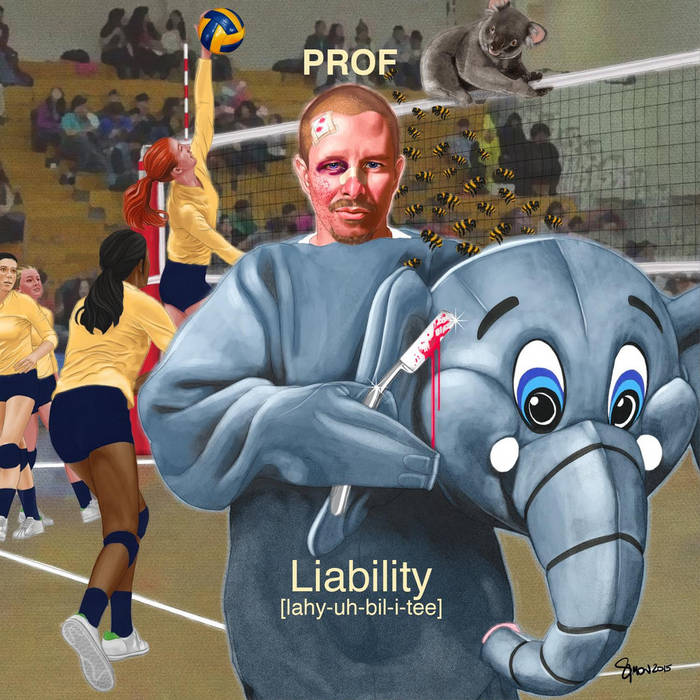 Liability | Prof