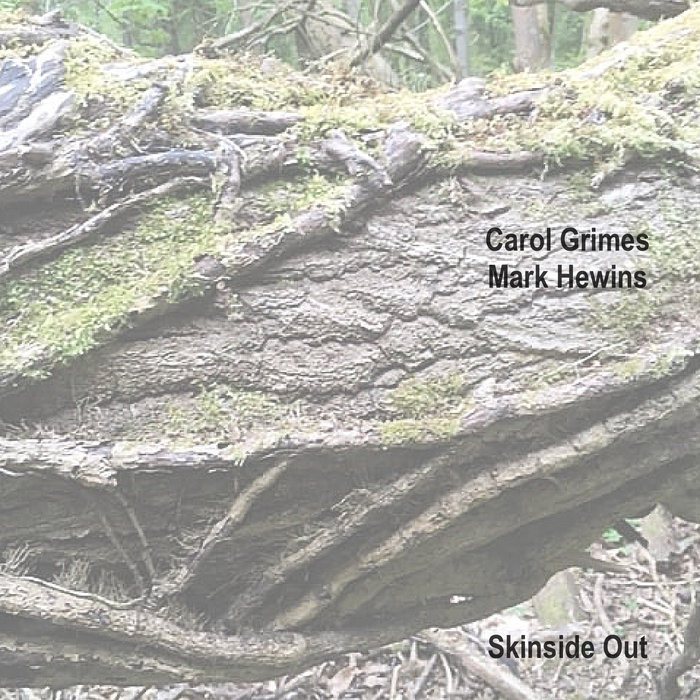 Skinside Out | Mark Hewins, Carol Grimes | Mark Hewins