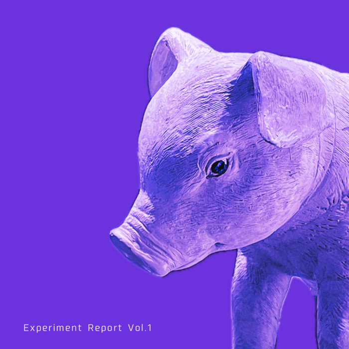 [WL - 027] Experiment Report Vol.1 | Wataru Naruse | Waveform Laboratory