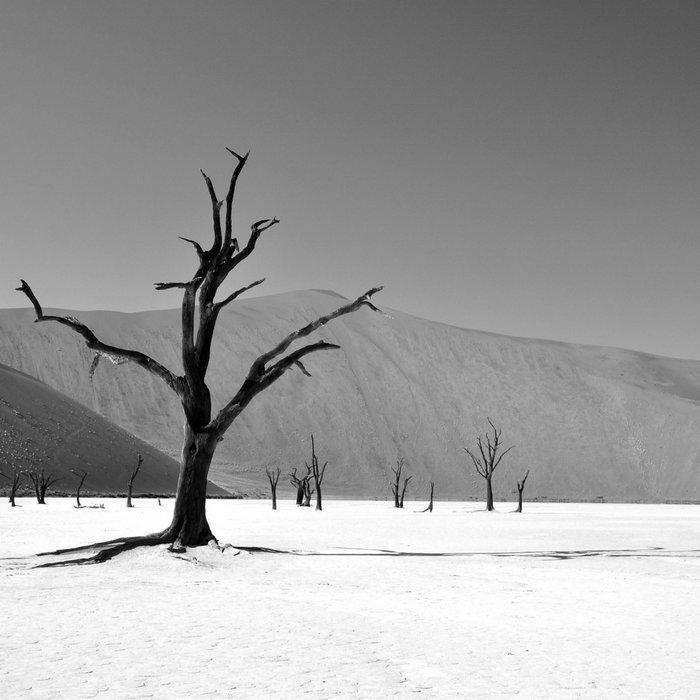 Expanding Ambient Landscape Compilation | The Marine Project