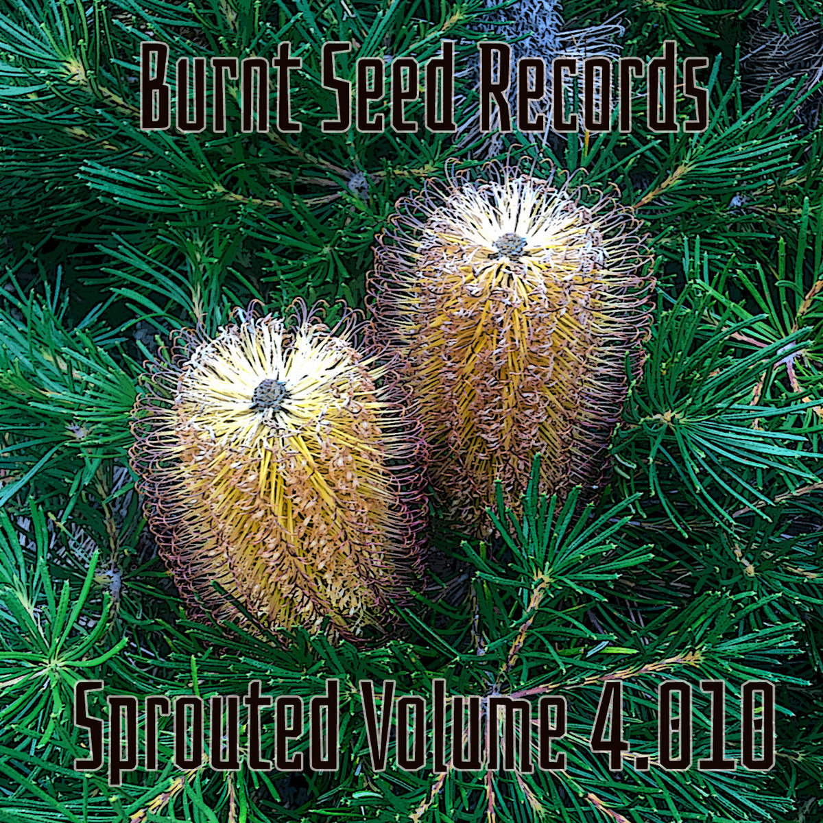 Sprouted Volume 4.010 | Burnt Seed Records