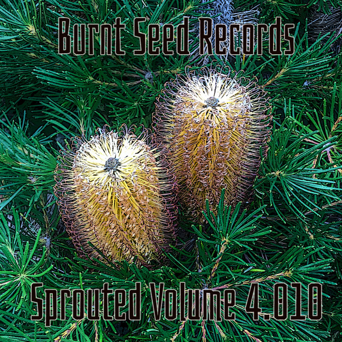 Sprouted Volume 4.010 | Burnt Seed Records