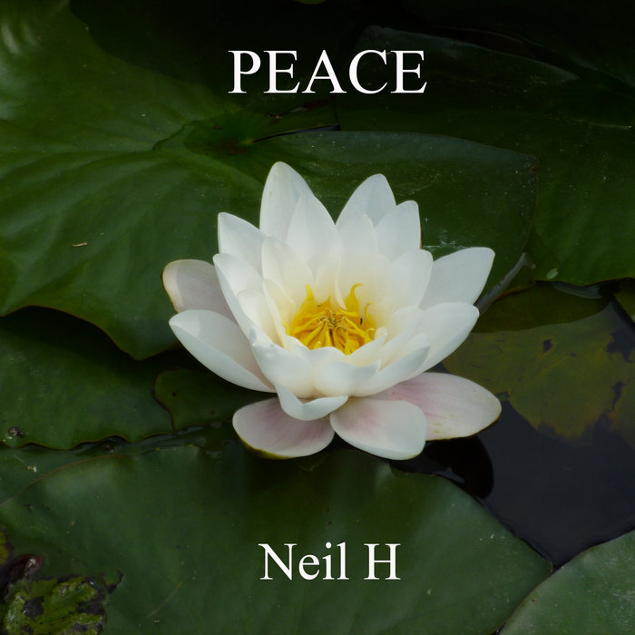 Peace | Neil H | Neil H Official