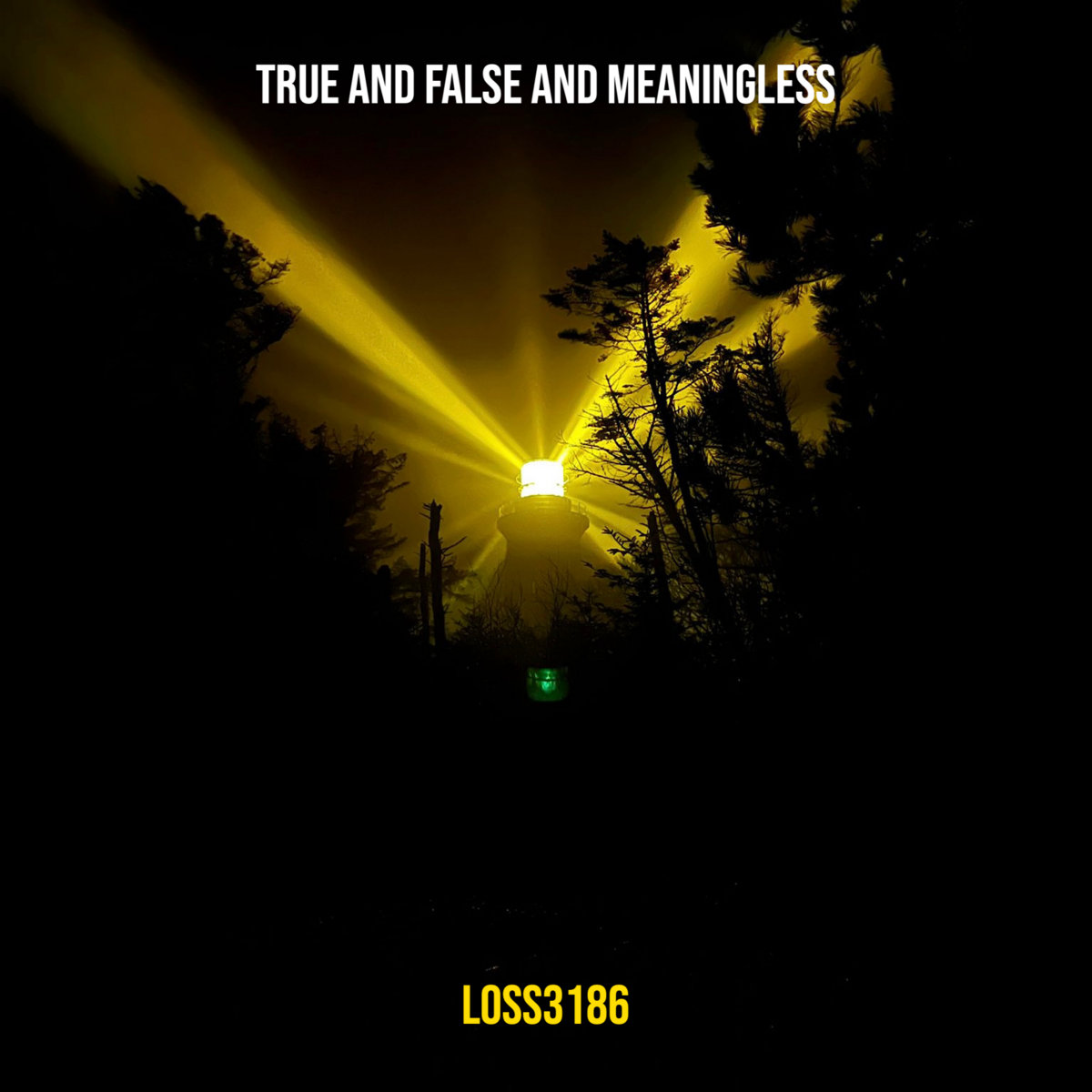True and False and Meaningless | LOSS3186 | Noisegrind Bastard Recordings
