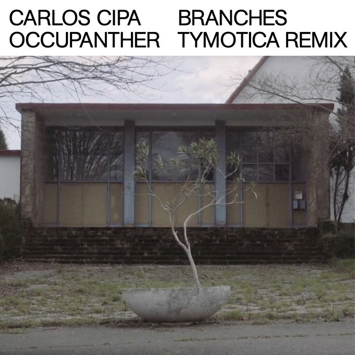 Branches (Tymotica Remix) | Carlos Cipa & Occupanther | Occupanther