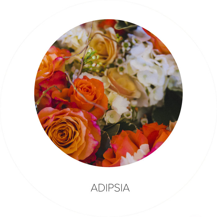 The Fourth Wall | Adipsia