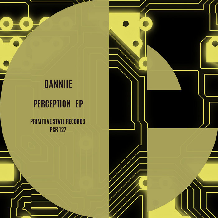 PSR127: Danniie - Perception EP | Danniie | PrimitiveState Records