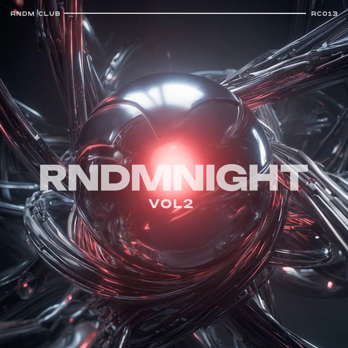 RNDM NIGHT VOL 2 | Various Artists | RNDM CLUB