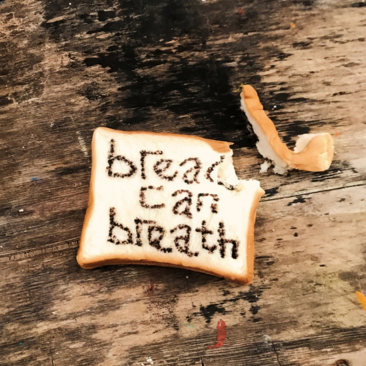 selai roti | sisamakan