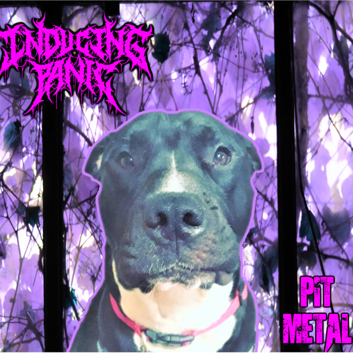 PIT METAL | INDUCING PANIC