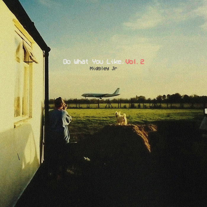 Do What You Like, Vol. 2 | Midgley Jr