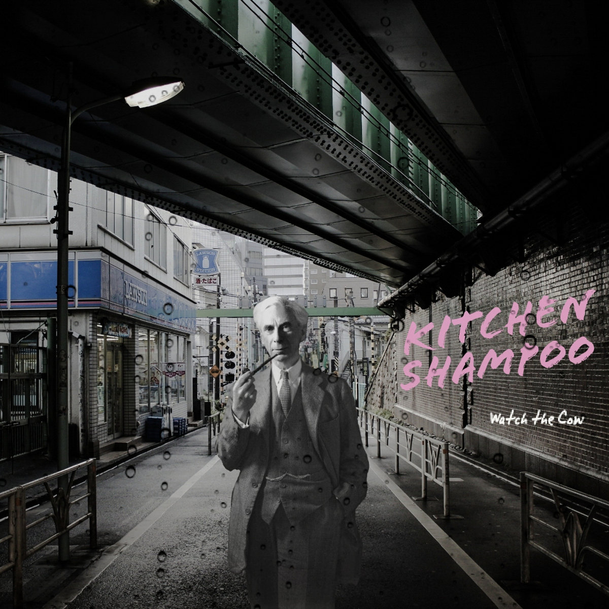 Kitchen Shampoo | Watch the Cow
