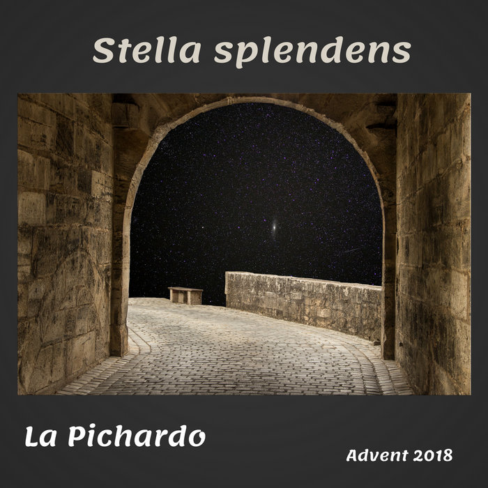 Stella splendens | La Pichardo