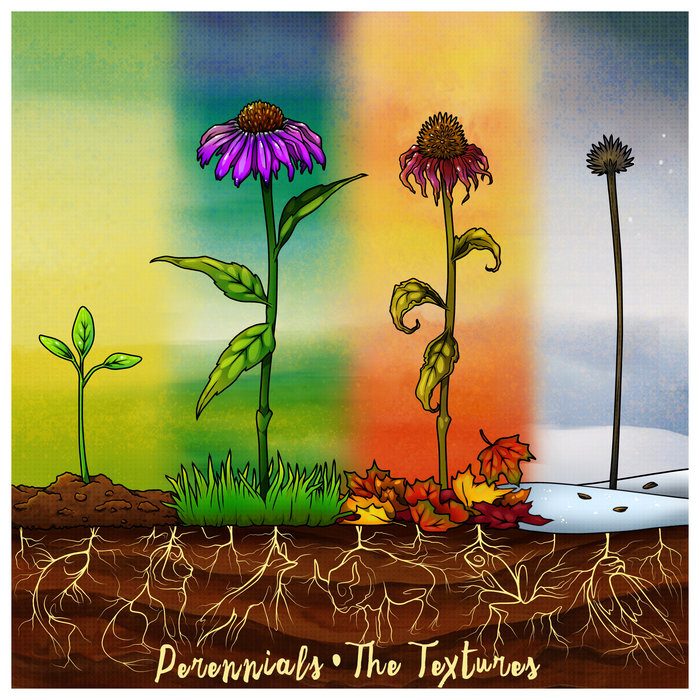 Perennials | The Textures