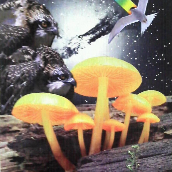 Melting Walls | Radiant Forms