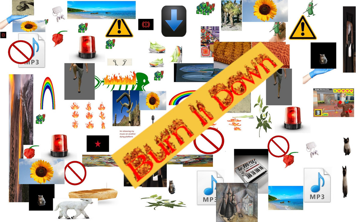 Burn It Down | Winnow