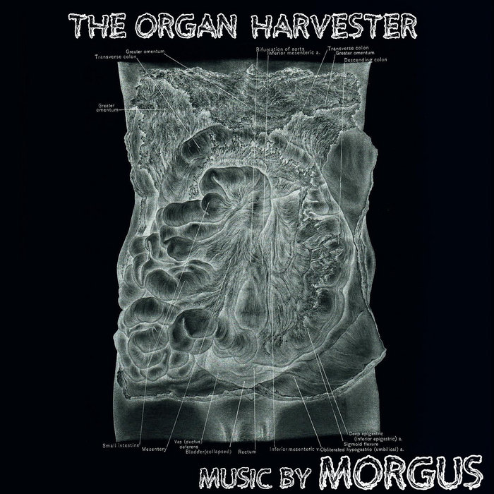 The Organ Harvester | Morgus